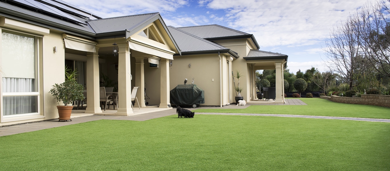Health Protector Artificial Grass Canada | Non-Toxic & Safe - Flex Lawn